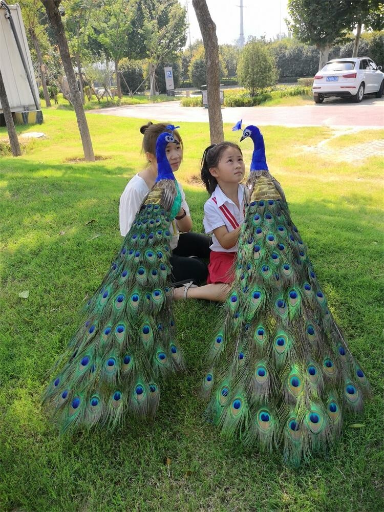 one piece peacock model foam&feather simulation peacock bird toy about ...