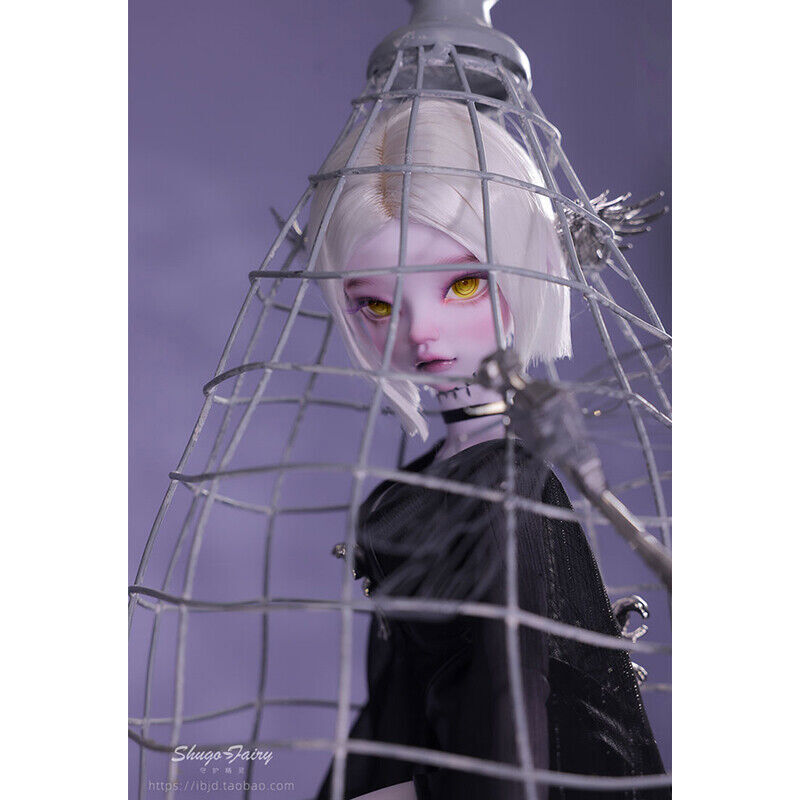 FULL SET 1/4 BJD Doll Girl Resin Ball Jointed Eyes Face Makeup Wig ...