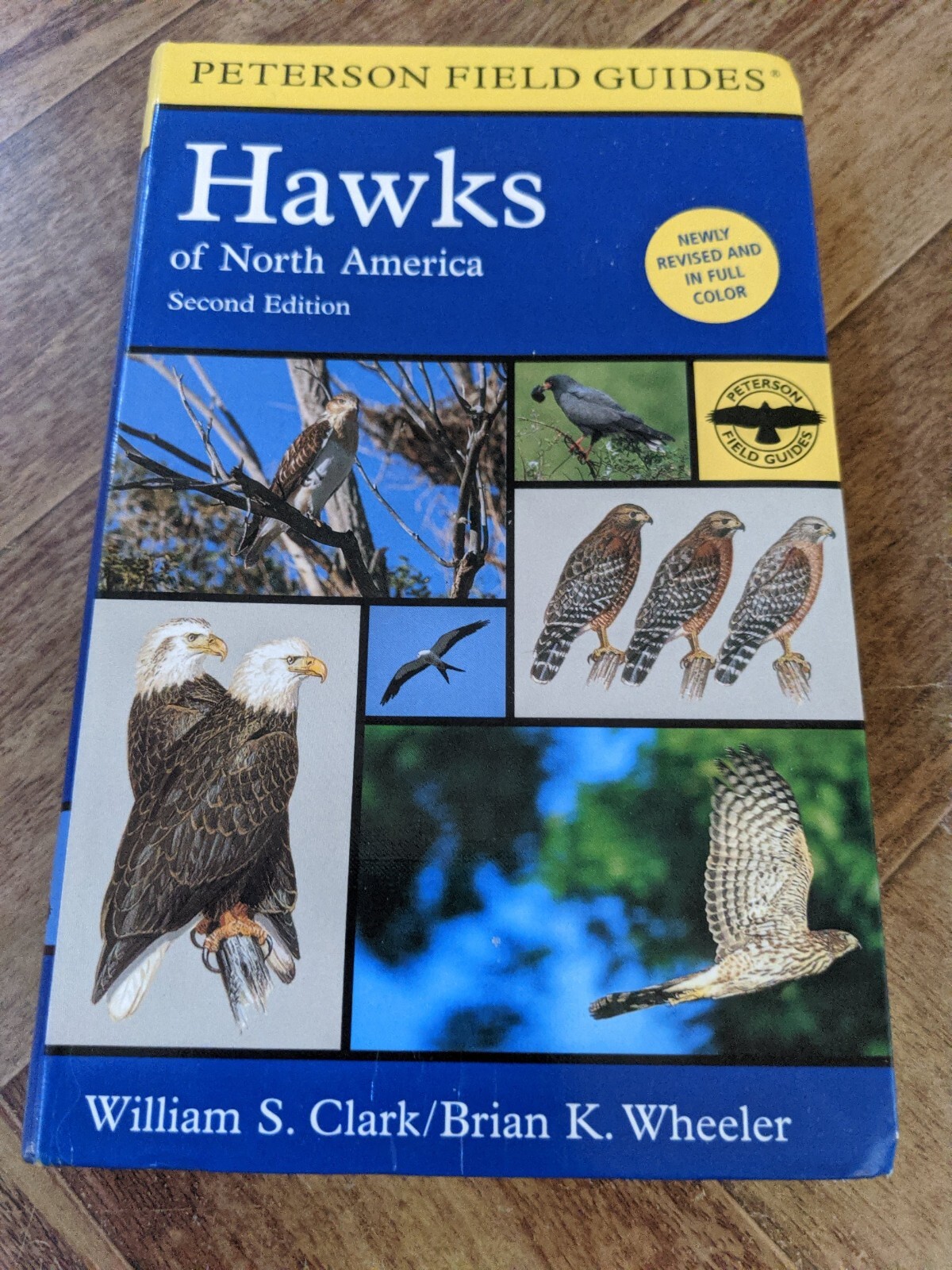 Peterson Field Guides: A Peterson Field Guide to Hawks of North America ...