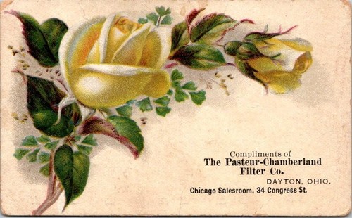 Pasteur Chamberland Filter Co Dayton OH Ohio Yellow Rose JQV6 | eBay