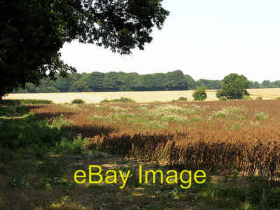 Photo 6x4 Farmland at Beedon Common Downend/SU4775 This farmland is in ...