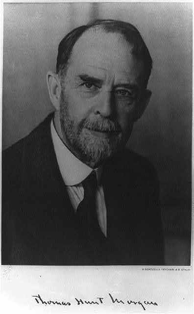 Thomas Hunt Morgan