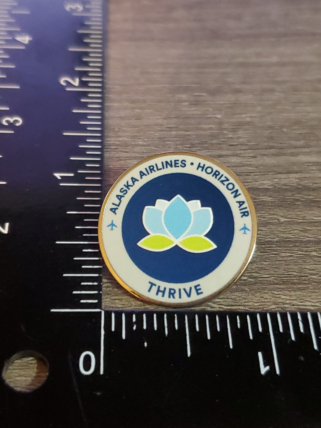 ALASKA AIRLINES Horizontal Air Thrive BLUE & GREEN PIN D8 | eBay