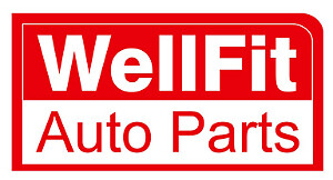 WellFit Auto Parts | eBay Stores