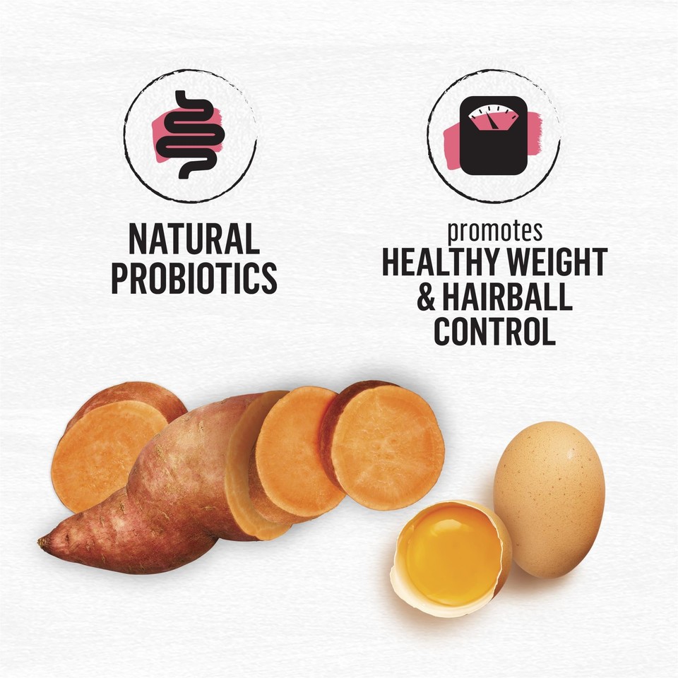 Purina Beyond Grain Free Indoor Dry Cat Food Salmon Egg Sweet Potato ...