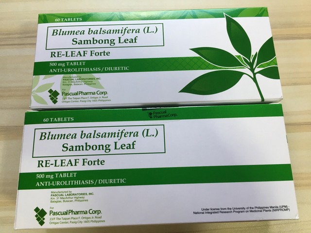 Sambong Releaf Forte Tea 500gm 120 Capsules Blumea Balsamifera Herbal ...