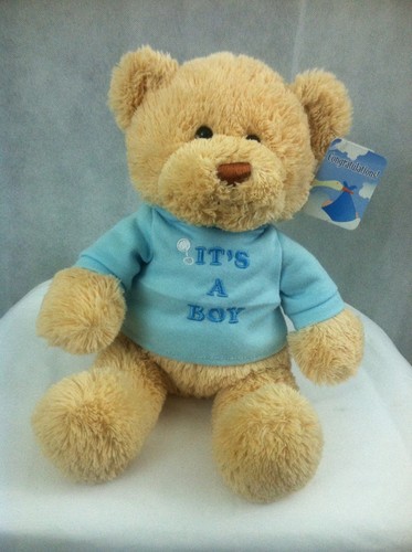 Gund Greeting With A Hug It's A Boy! T-Shirt Bear | eBay