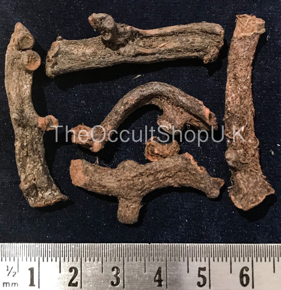 Paras Root Smudge Stick Ghost Repeller House Cleansing Pagan Wicca ...