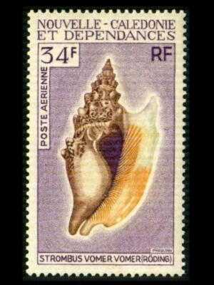 C75 NEW CALEDONIA Airmail 34fr STROMBUS VOMER SEASHELL MNH €10 SEE ...