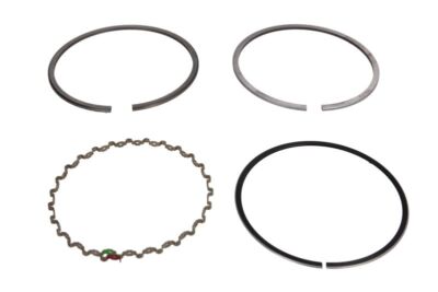 Piston Ring Kit MAHLE 011 06 N0 | eBay Australia