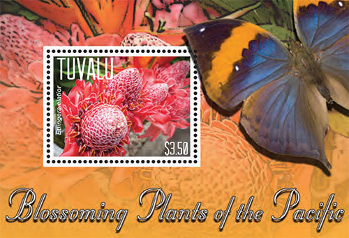 Tuvalu 2013 - Flowers Butterflies - Souvenir Stamp Sheet - Scott ...