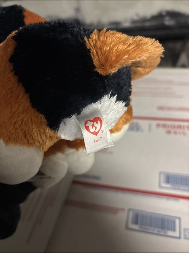 Ty Beanie Babies Boo Tauri The Calico Cat Plush 9” Stuffed Animal Toy w ...