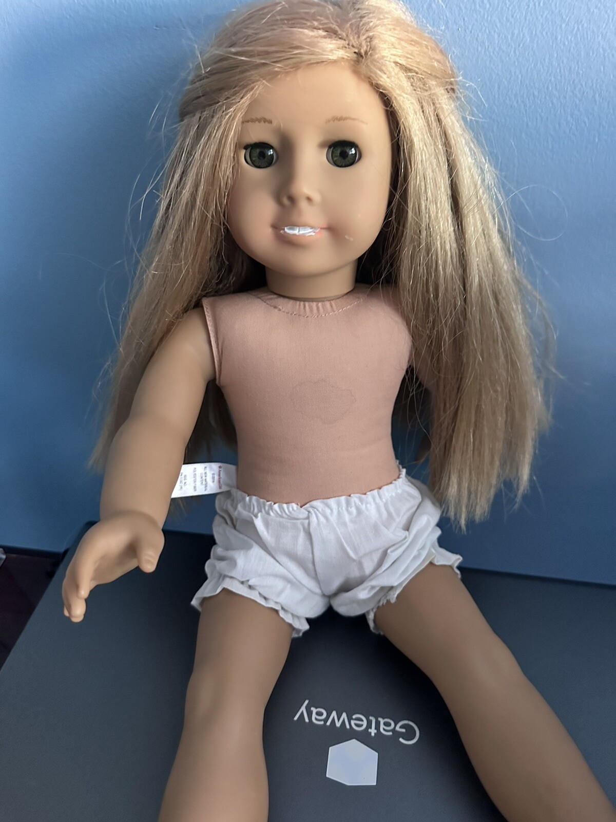 American Girl Doll Isabelle Palmer Girl Of The Year GOTY 2014 Retired ...