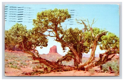 Postcard: UT 1985 Cedar Window, Monument Valley, Utah - Posted | eBay