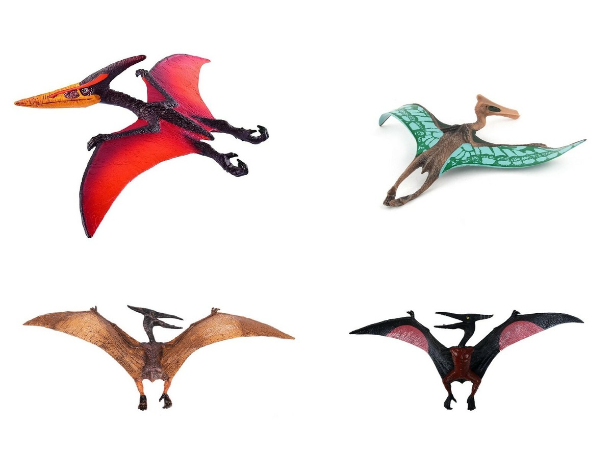 Flying Dinosaurs Pterodactyl Scale Pterodactyls Any Of A Number Of