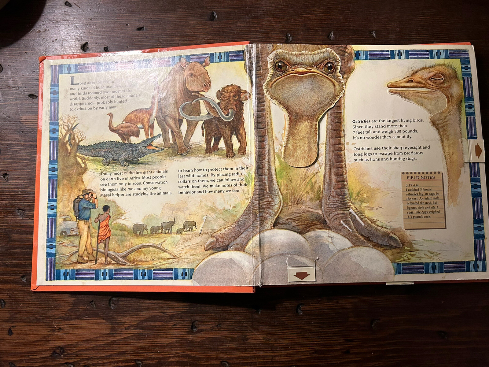 Pop-Up: African Animal Giants by James Dietz (1997, Hardcover) Nat'l ...