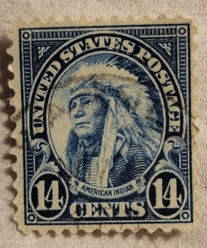 1925 14 Cents Dark Blue American Indian Stamp. Never Hinged. | eBay