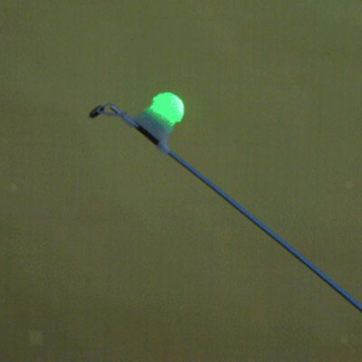 2pc Sea Night Fishing Rod Tip LED Light Clip On Strike Bite Indicator ...