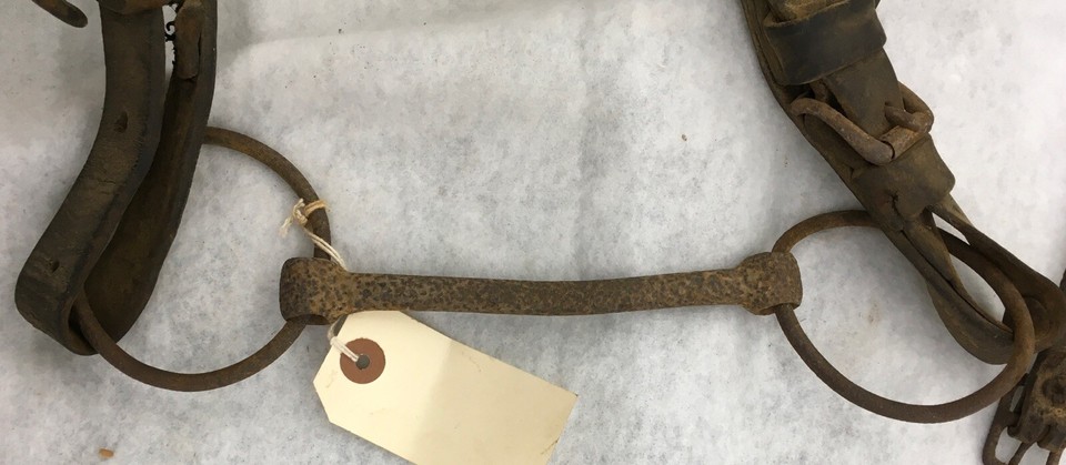 U.S. Cavalry Civil War Horse/Mule Blinders Bridle | eBay