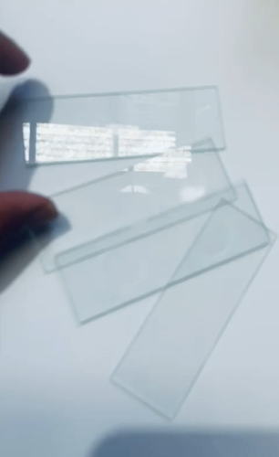 Concave Cavity Slide -Glass- Microscope Slides- Triple Concave Cavity X ...