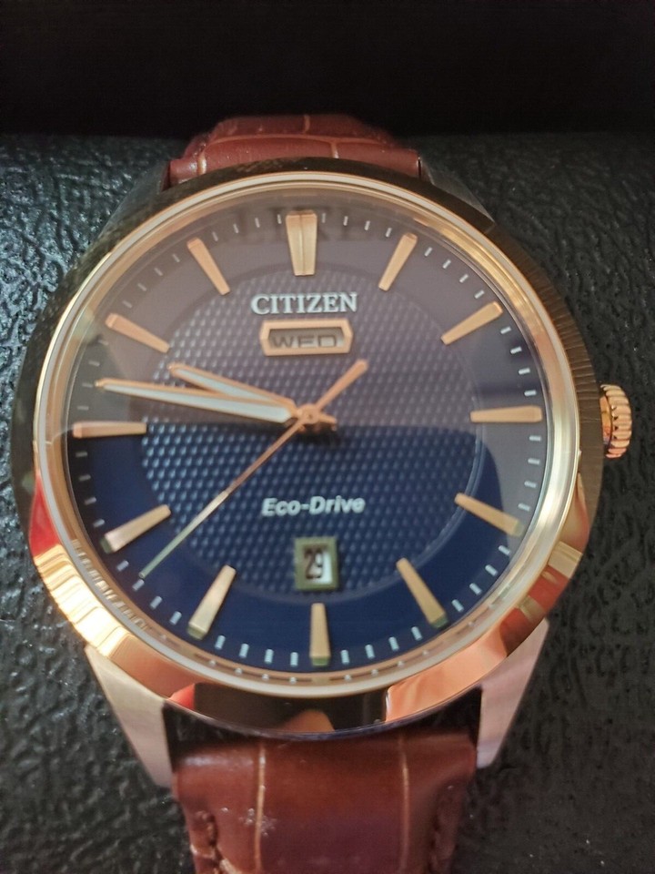 mans citizen Rolan eco drive watch, BAND LENGTH (MM)266.7,Sapphire ...