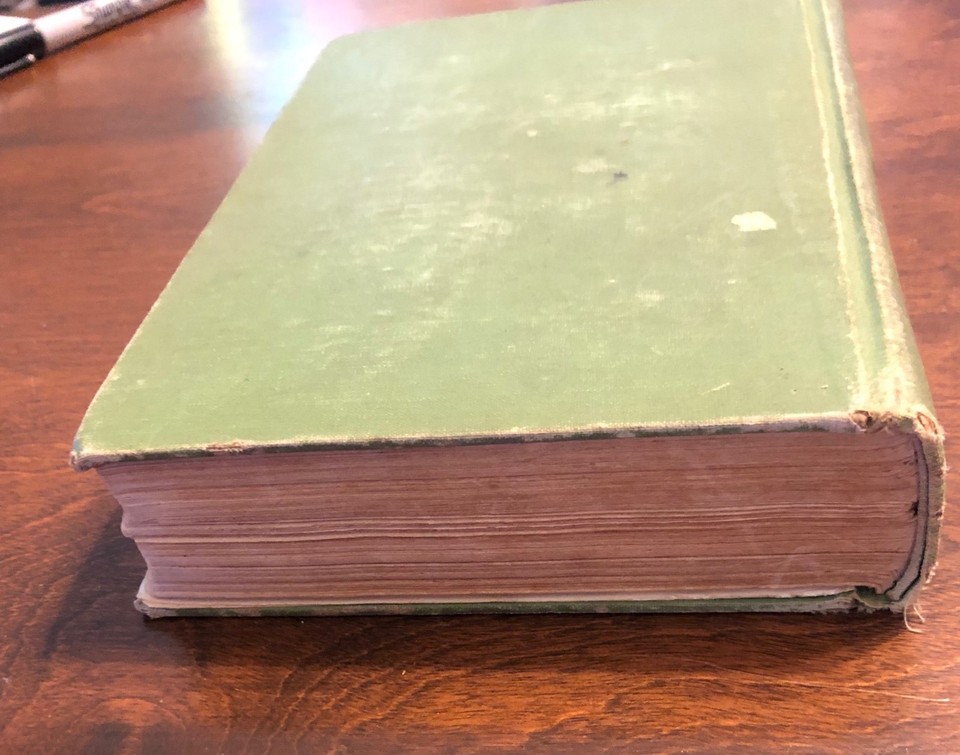 1908 "The Princess Dehra" by John Reed Scott w Beautiful colorful ...