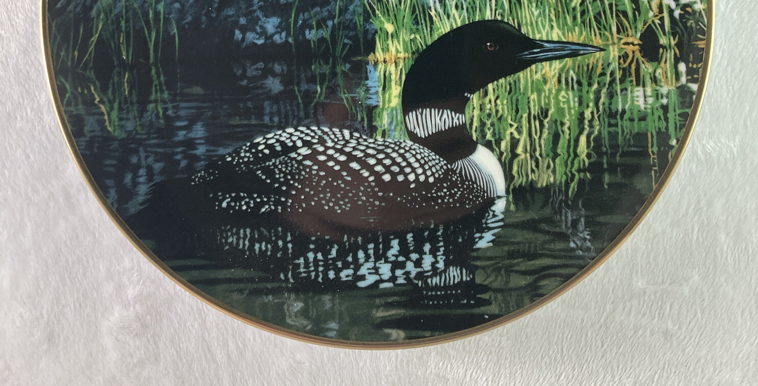 SUMMER LOON Plate Winged Reflections R.S. Parker Hamilton Collection ...