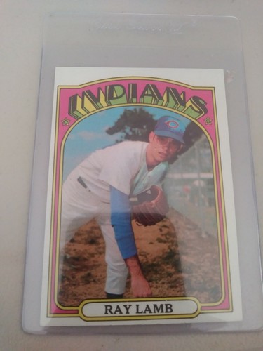1972 Topps Vintage #422 Ray Lamb NM'MT+. | eBay