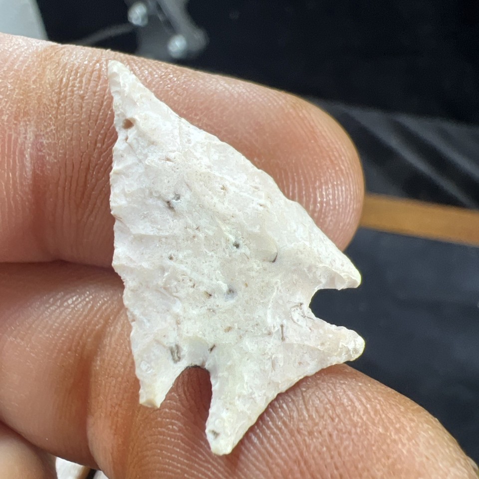 Authentic Arrowhead 1.1/4”Scallon Bird Point Ex Dennis Smith Lewis Co ...