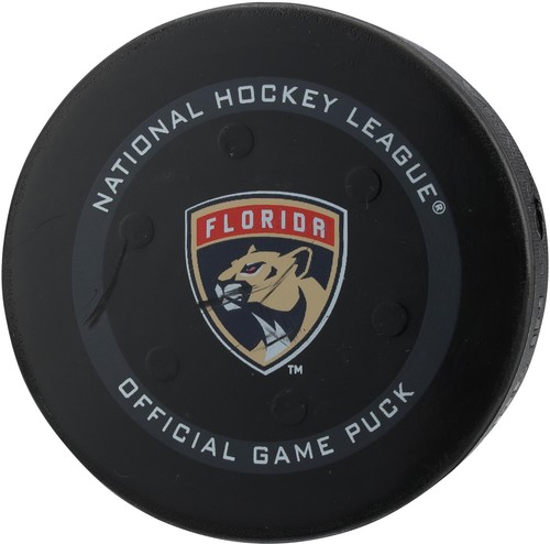Capitals vs Panthers GU Puck - Game 4 of 1st Round of 2020 SC Playoffs ...