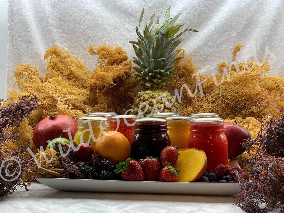 Wildcrafted Seamoss Gel Made Fresh With Dried Seamoss St. Lucian Sea ...