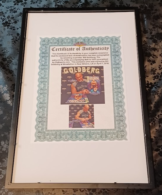 Goldberg - Signed Framed Autographed 11x17 Comic Book Art w/ Highspots ...