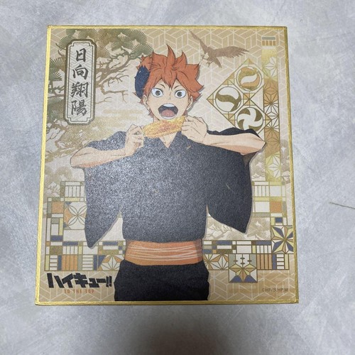 HIQUE Hinata Shoyo Colored Paper | eBay