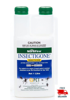 Insectigone 1lt. Insect Spray. Ants, Flys, Spiders | eBay