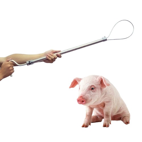 Heavy Duty Hog Catcher Snare Stainless Steel Pig Holder Pig Swine ...