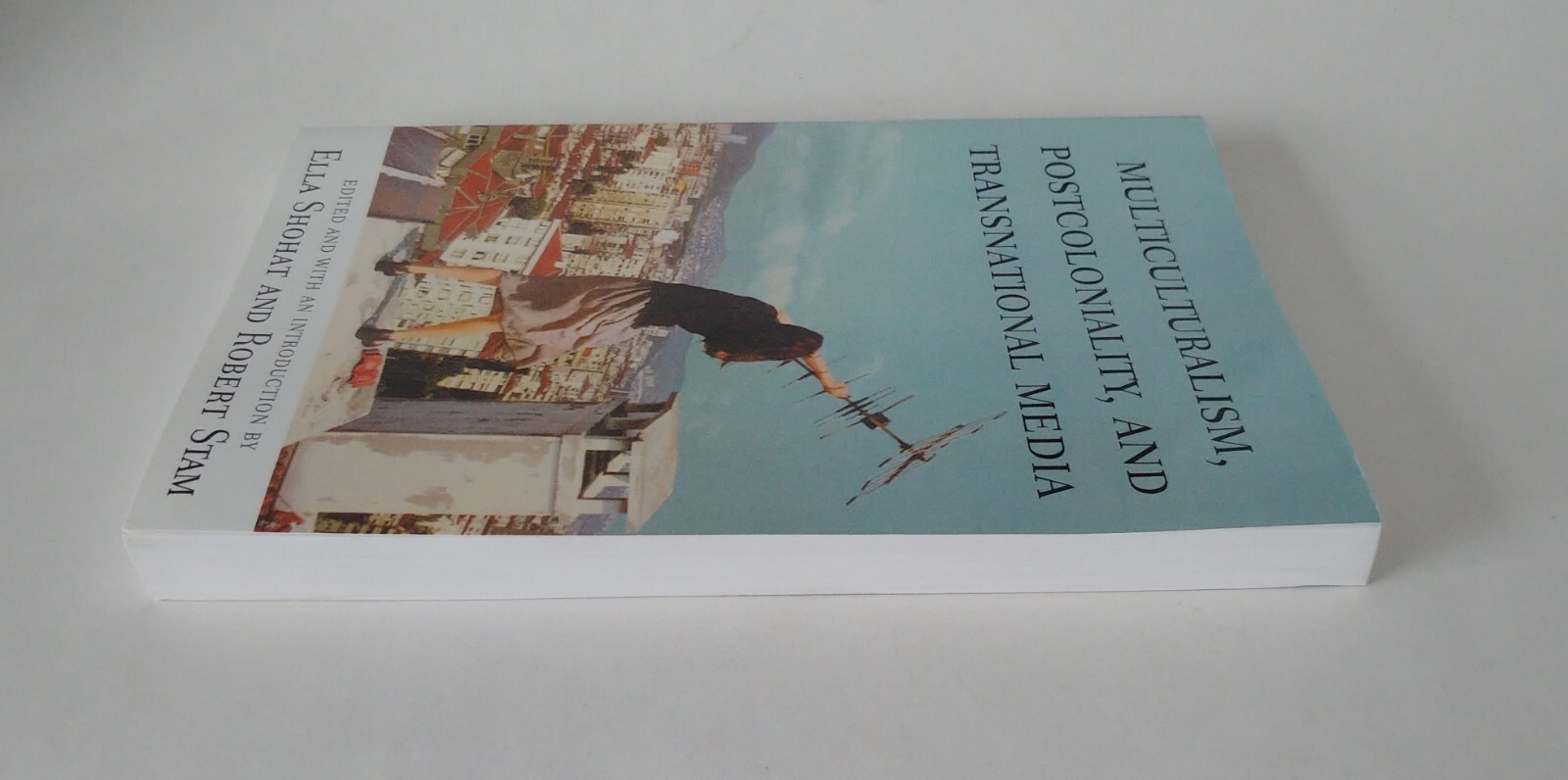 Rutgers Depth of Field Ser.: Multiculturalism, Postcoloniality, and ...