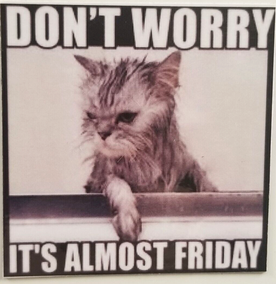 Its Almost Friday Cat