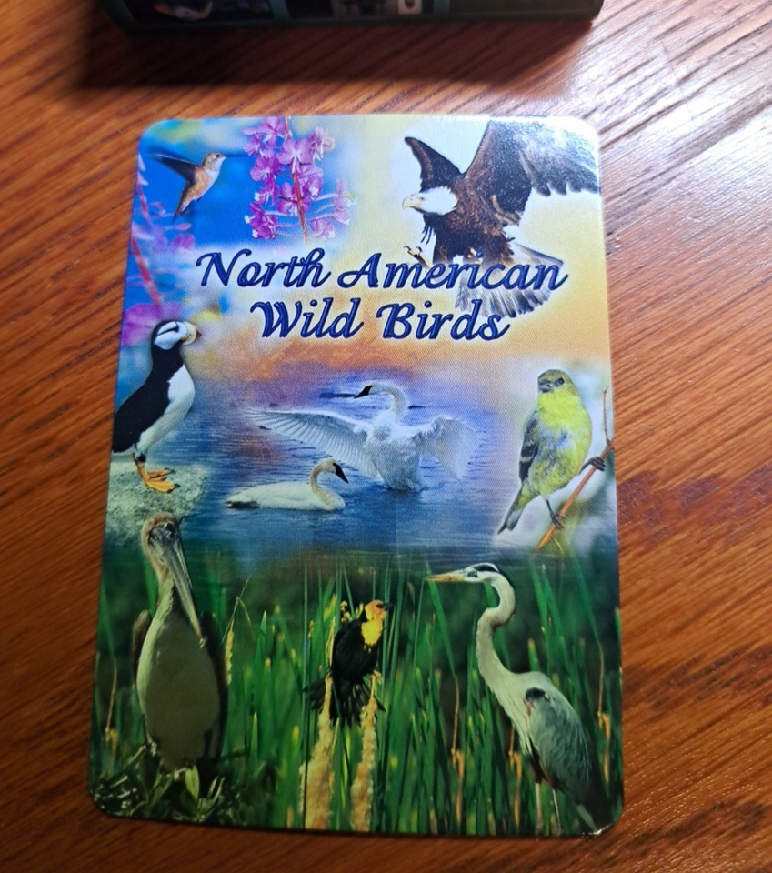 North American Wild Birds Playing Cards 2007 54 Diff. Images ...