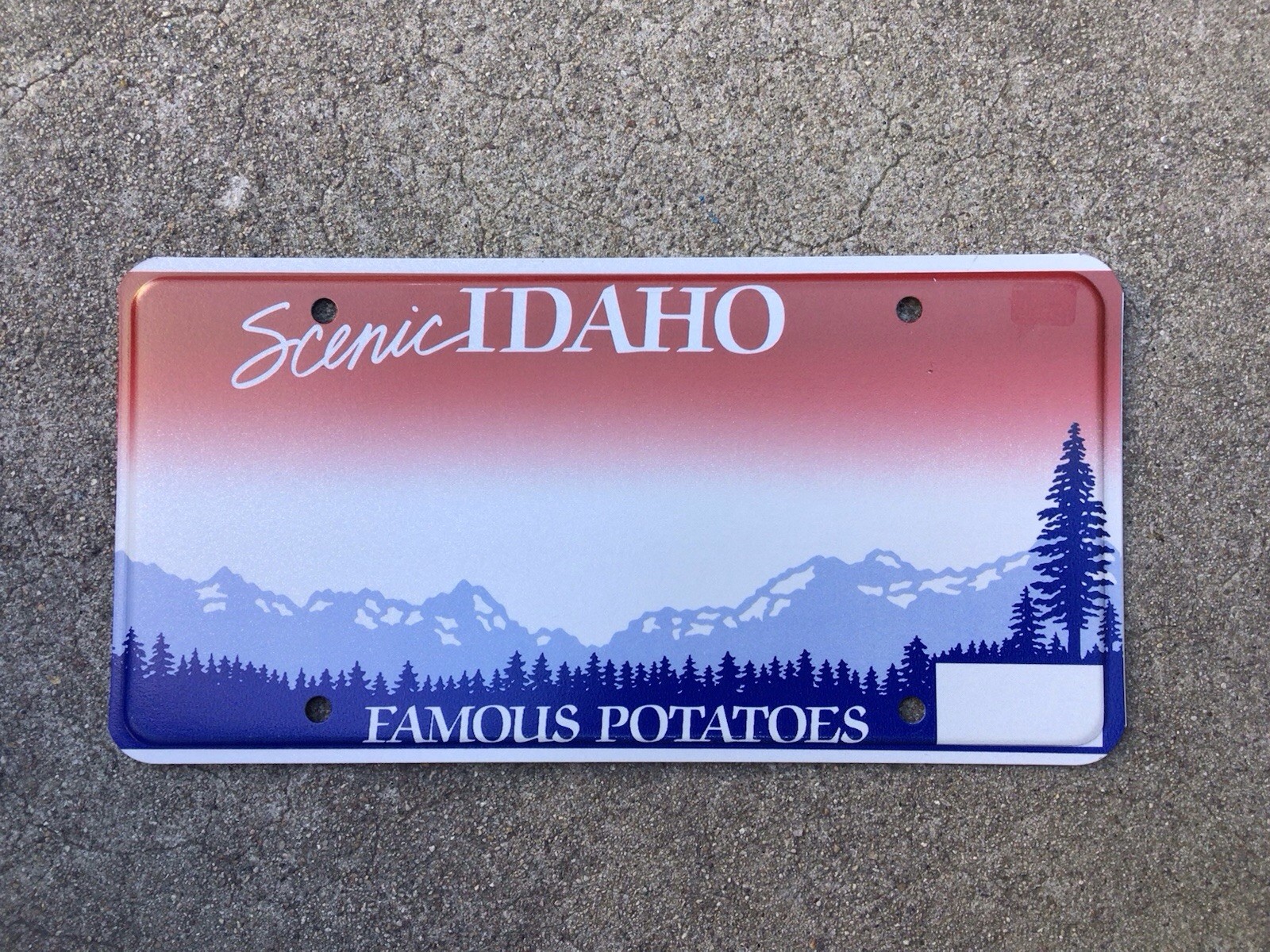 IDAHO - LICENSE PLATE - BLANK | eBay