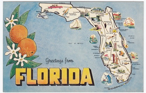 Greetings from Florida FL, State Map, Oranges ART Postcard | eBay