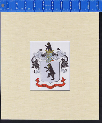 BERNARD Coat of Arms & Family Crest - Vintage Heraldry Print | eBay
