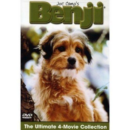 JOE CAMPS BENJI / (BOX) [DVD] 683904451446| eBay