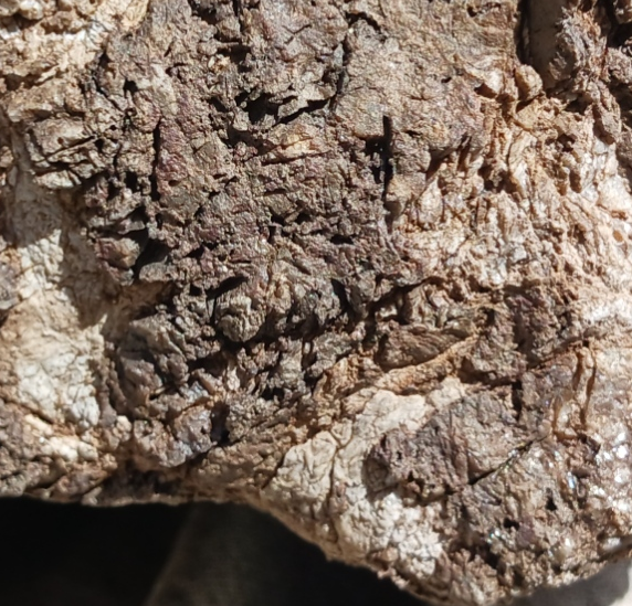 volcanic ballistic projectile block (solid rock bomb) as best as I can ...