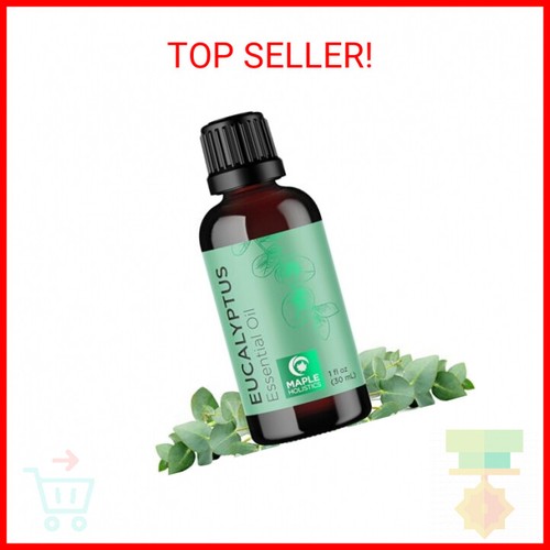 Pure Eucalyptus Essential Oil for Diffuser - Natural Eucalyptus ...