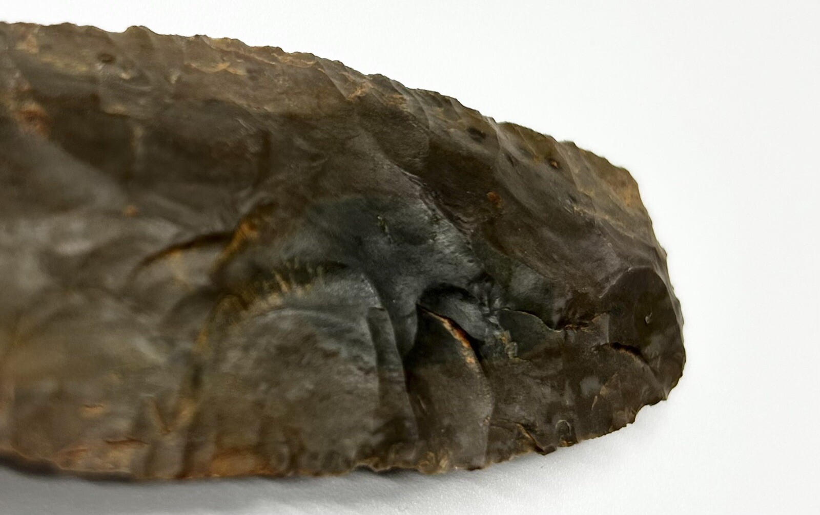 Large Native American Lanceolate Spear- Arrowhead, Huron County, Ohio ...