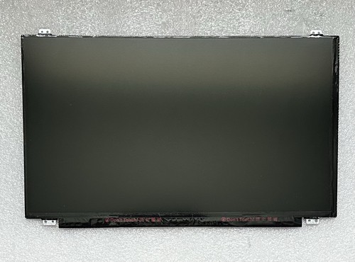 AU Optronics 15.6" Laptop Matte LCD Screen Display 30 Pin Panel ...