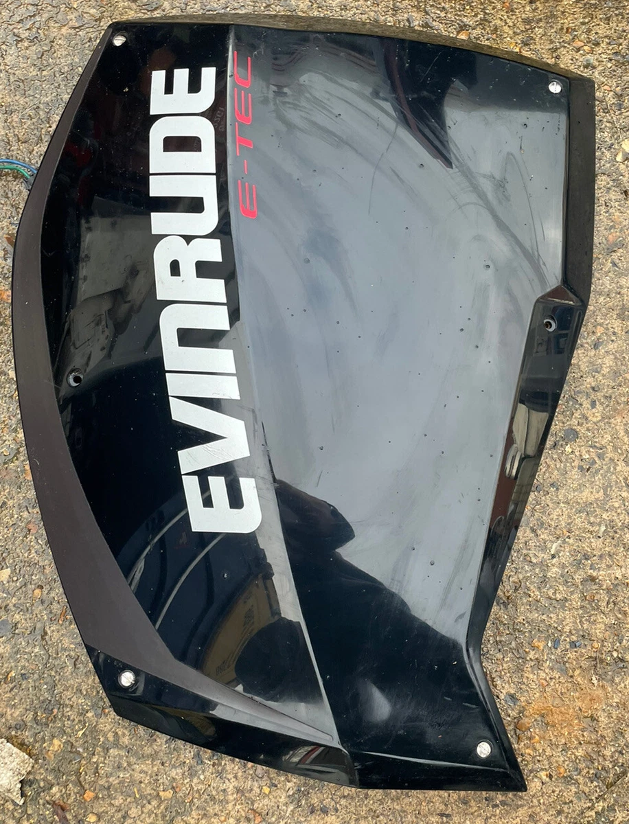 Evinrude Etec G2