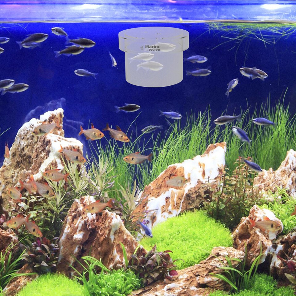 Fish Tank Box Acrylic Aquarium Hatchery Incubation Container | eBay