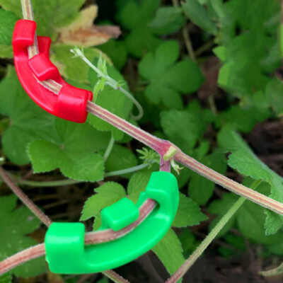 90° Anlagenbieger Wiederverwendbare LST Clips Low Stress Training für ...