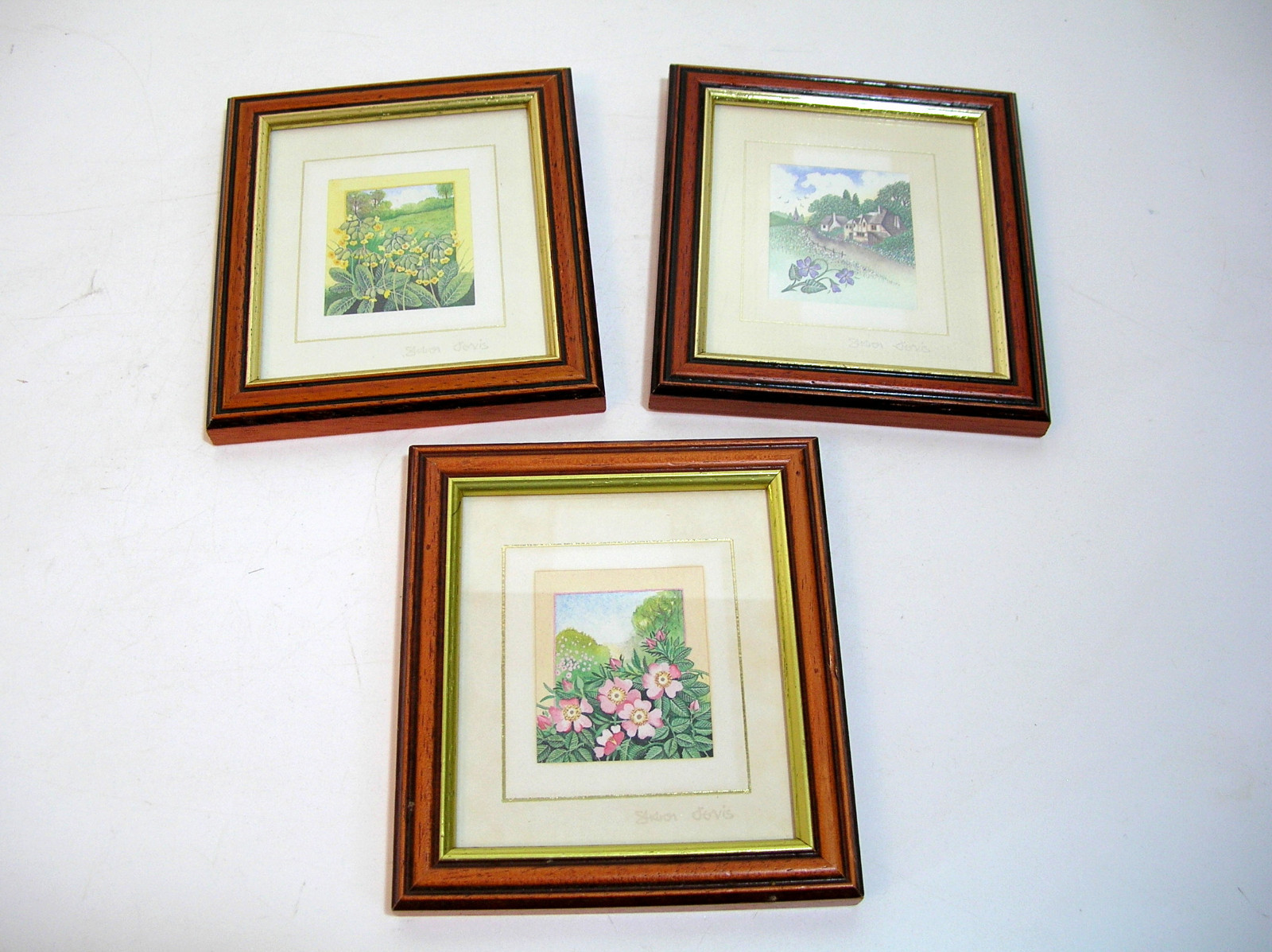 Sharon Jervis Floral Prints, Set of Three Framed Prints | eBay